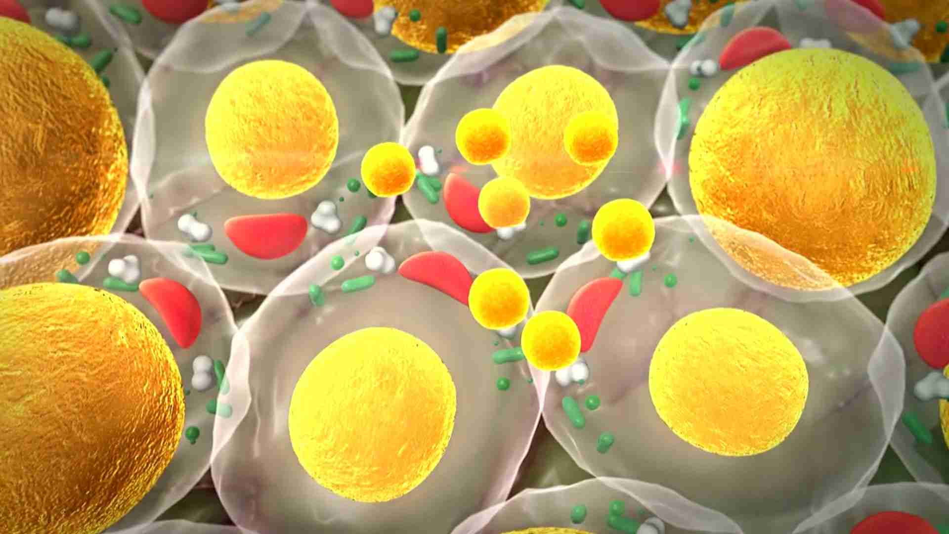 Womb Thickening (Hyperplasia): Difficulties and How to Cope